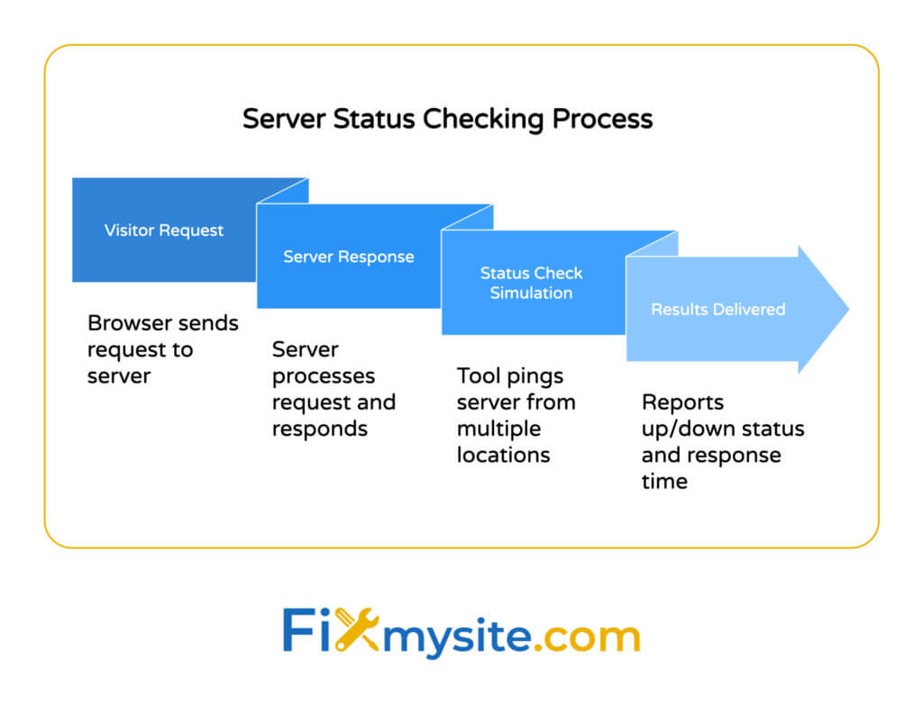 Server Status Check: How to Monitor If Your Website Is Online